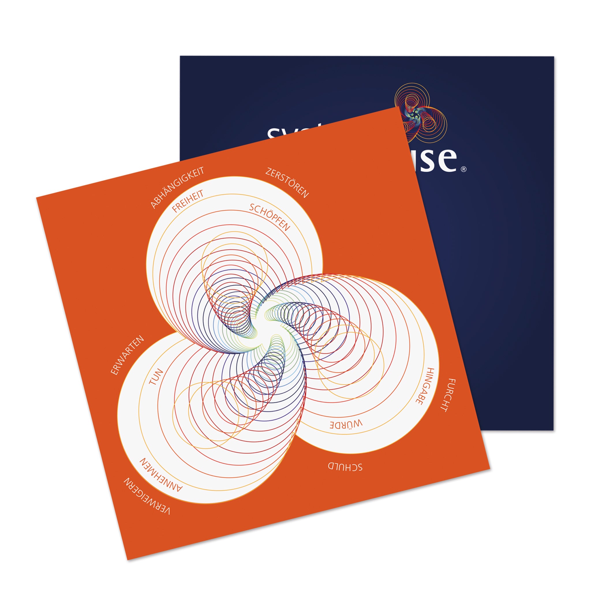 systemwise Teaser – innerwise Shop